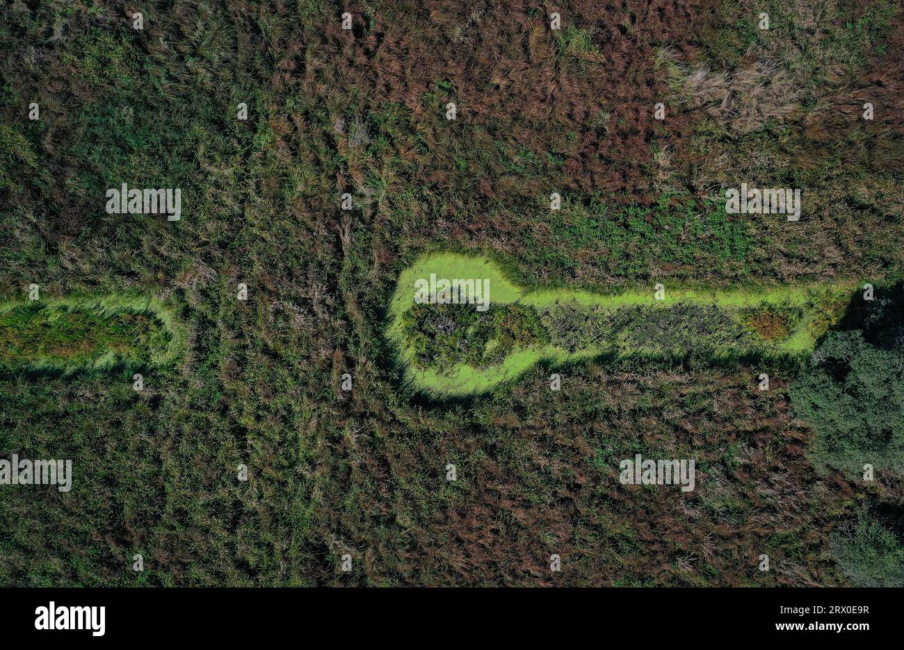 Germany. 15th Sep, 2023. Bog dam ditches run through the core zone of ...