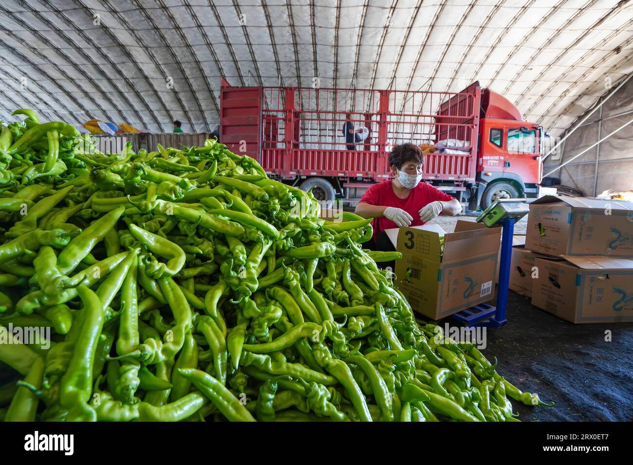 Sorting efficiency hi-res stock photography and images - Alamy