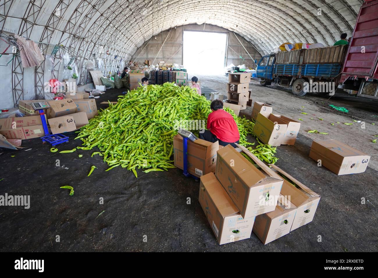 Sorting efficiency hi-res stock photography and images - Alamy