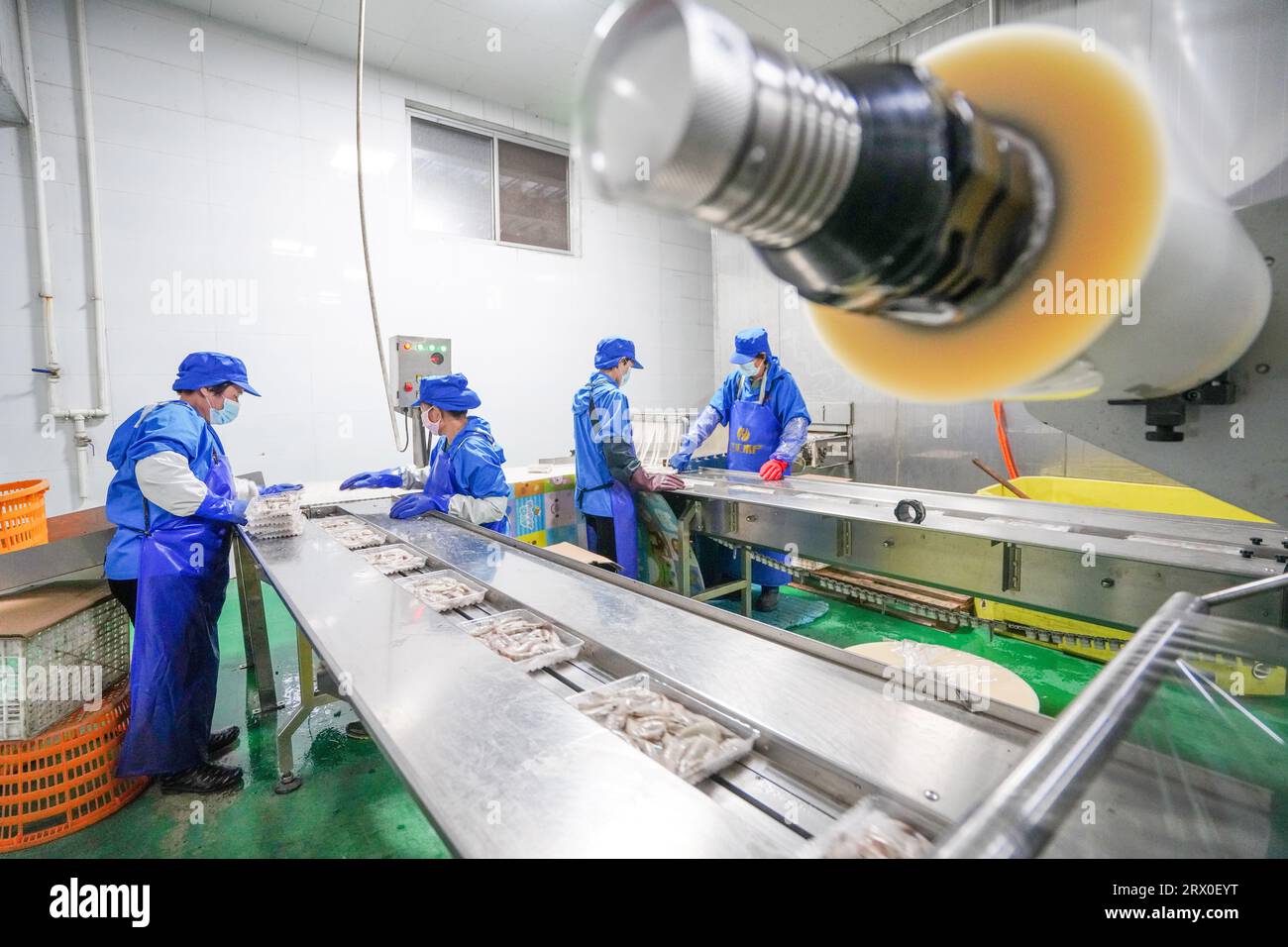 Frozen food production line workers hi-res stock photography and images ...