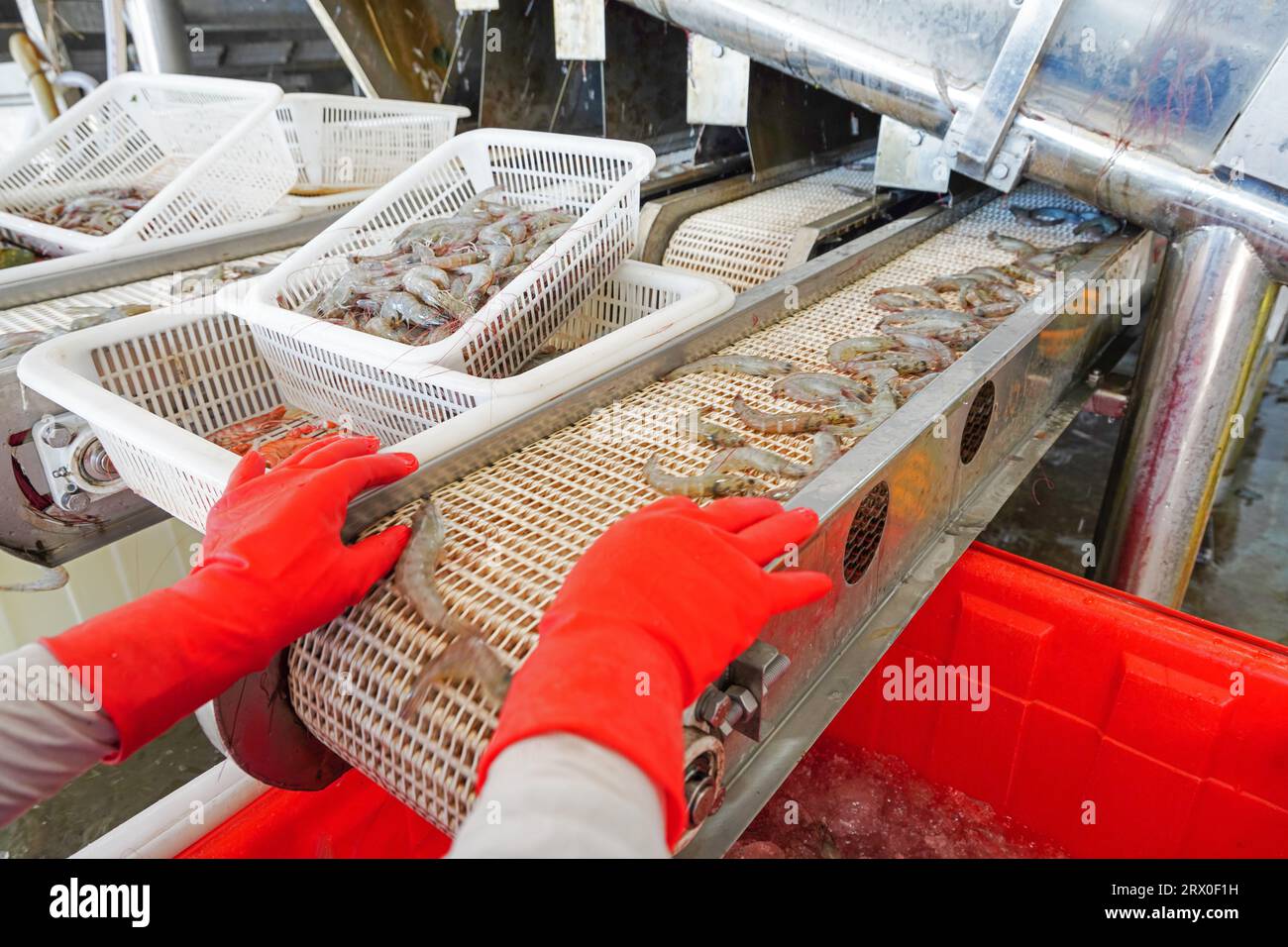 Seafood processing plants hi-res stock photography and images - Alamy