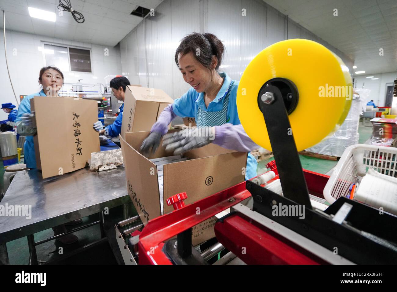 Luannan County, China - August 24, 2022: Workers are packaging frozen ...