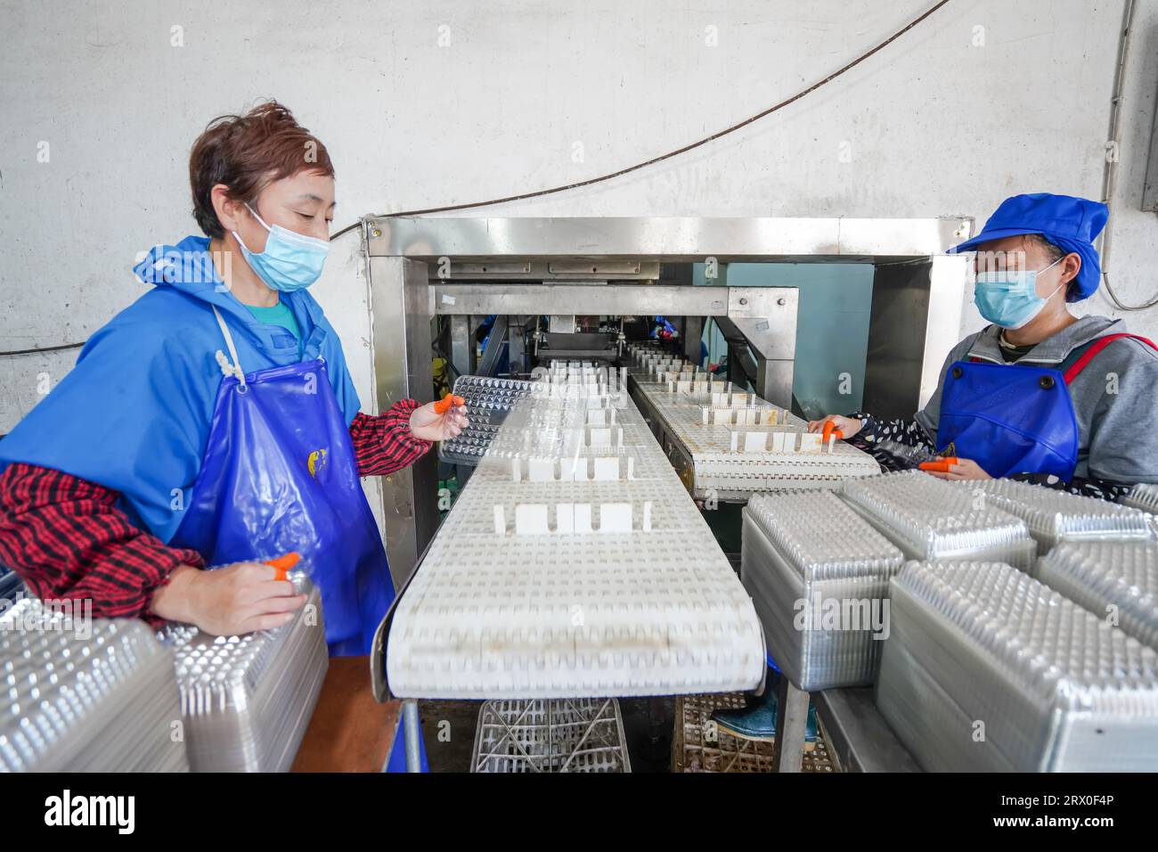 Frozen food production line workers hi-res stock photography and images ...
