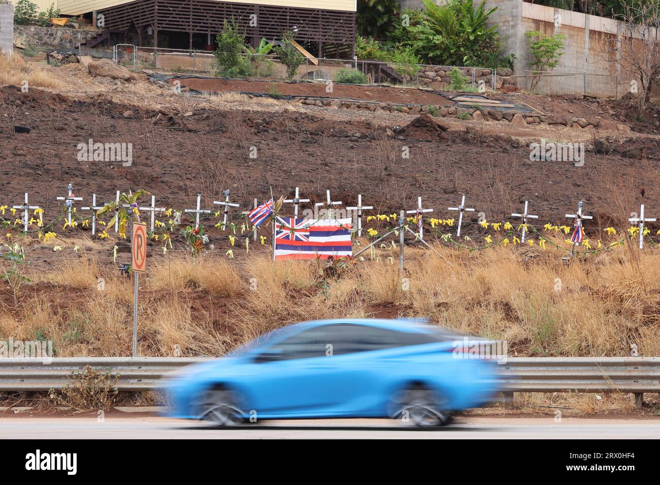 Crosses that represent the number of dead from the Hawaii wildfires ...