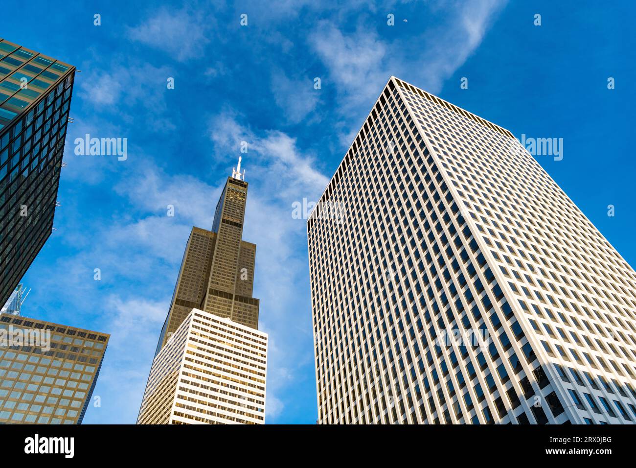 city downtown with skyscraper in perspective. perspective view ...