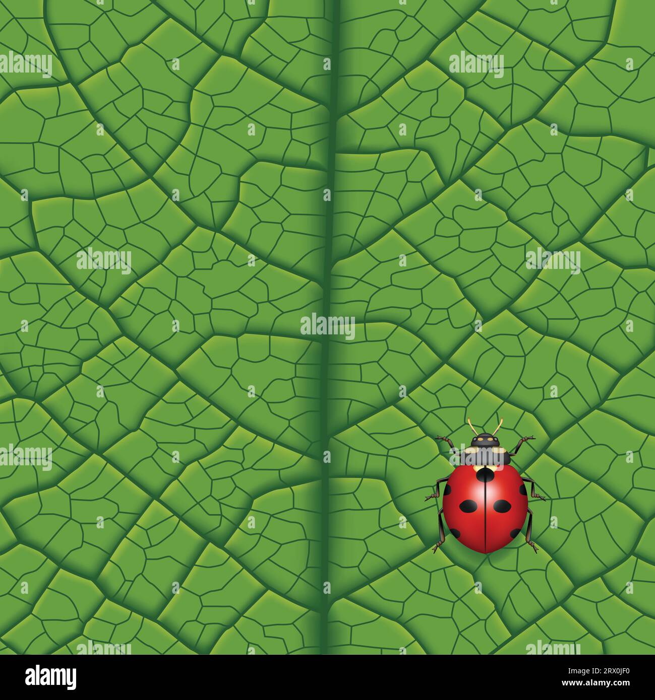 Layered vector illustration of Ladybug on Leaf Stock Vector Image & Art ...