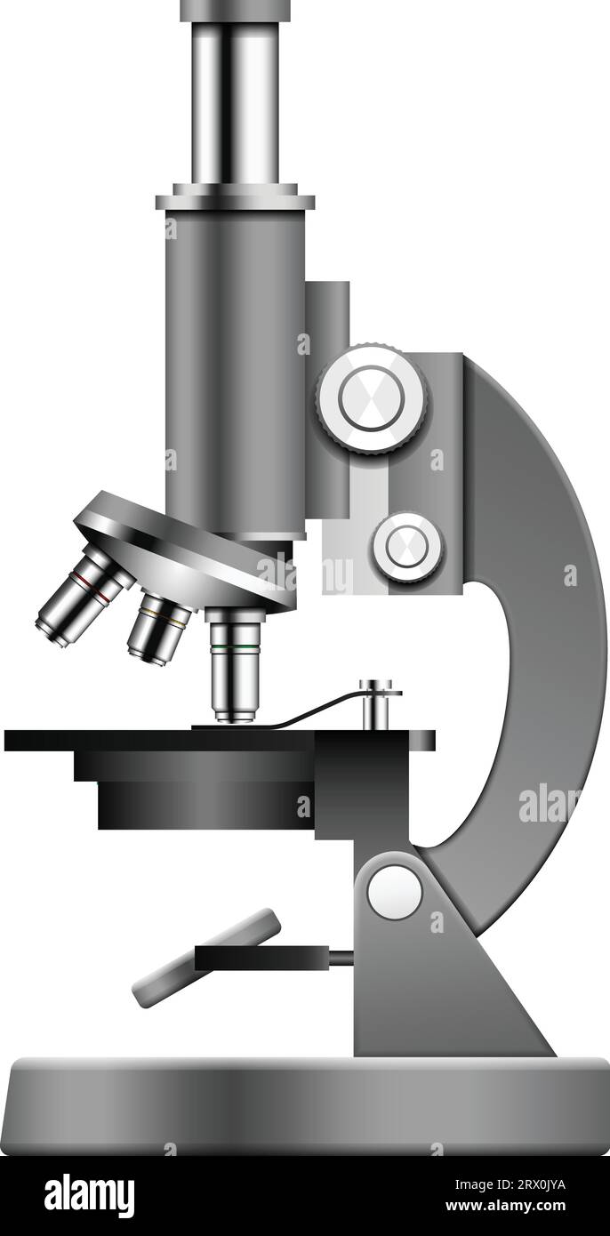 Layered vector illustration of Microscope Stock Vector Image & Art - Alamy