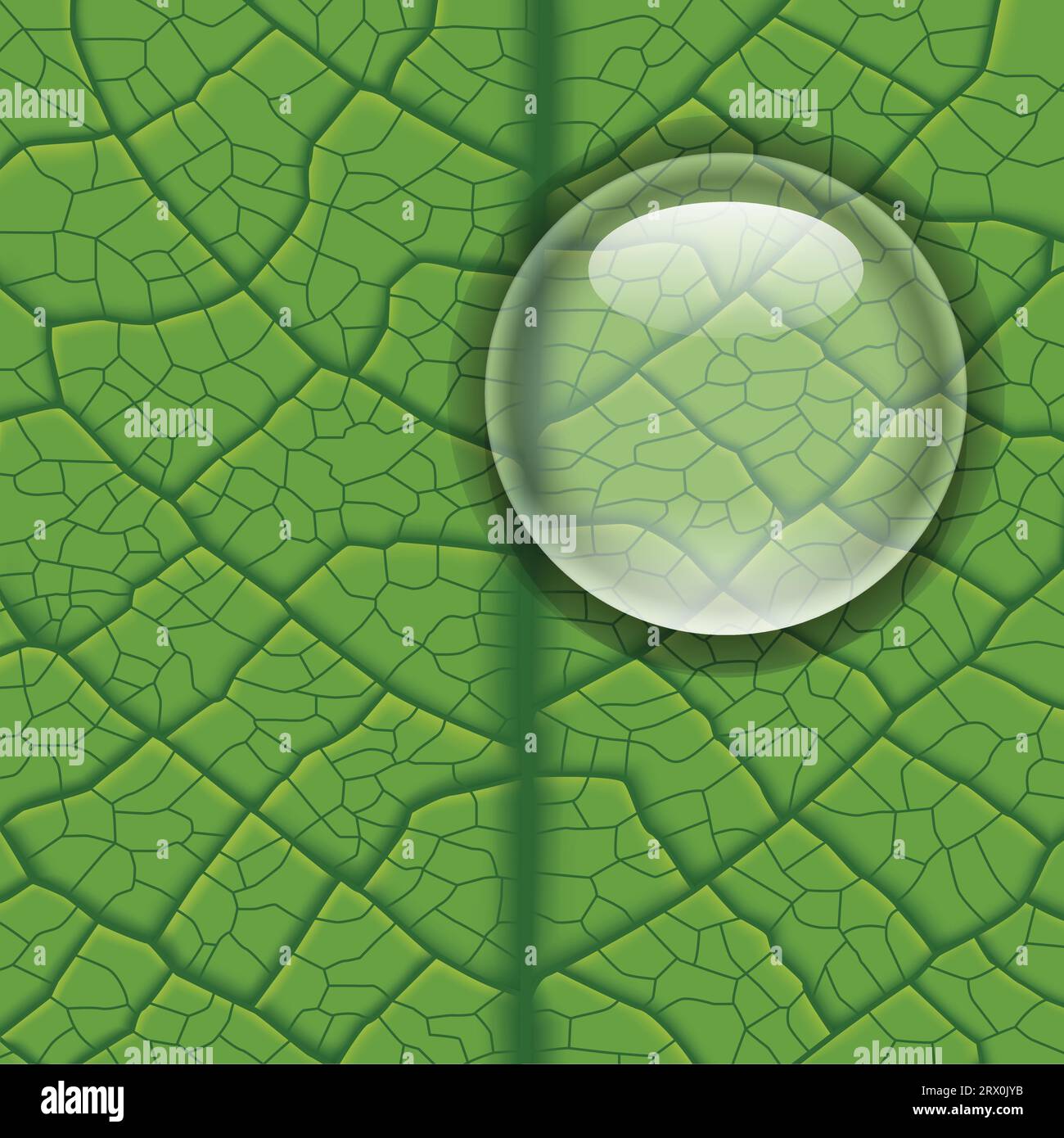 Layered vector illustration of Leaf Vein Stock Vector Image & Art - Alamy