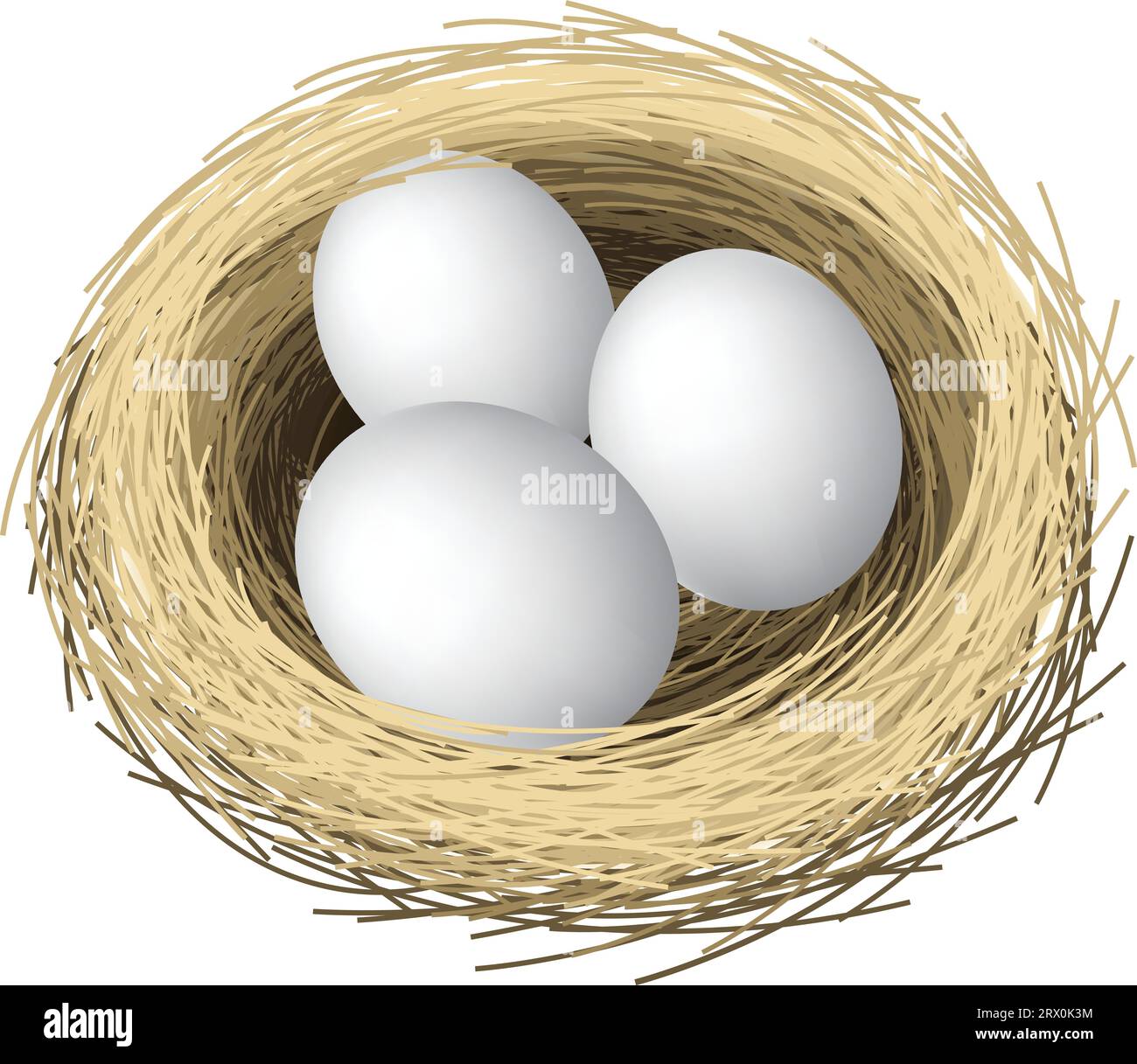 Layered illustration of Nest Eggs Stock Vector Image & Art - Alamy