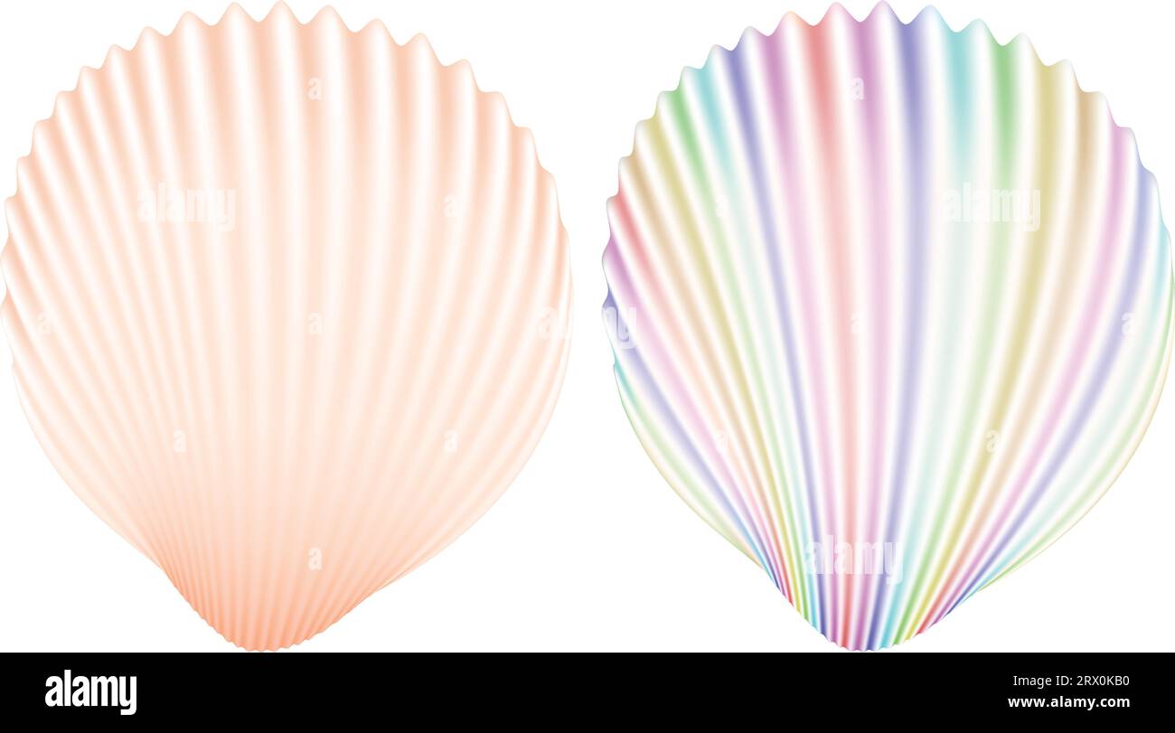 Vector illustration of isolated Shell Stock Vector Image & Art - Alamy