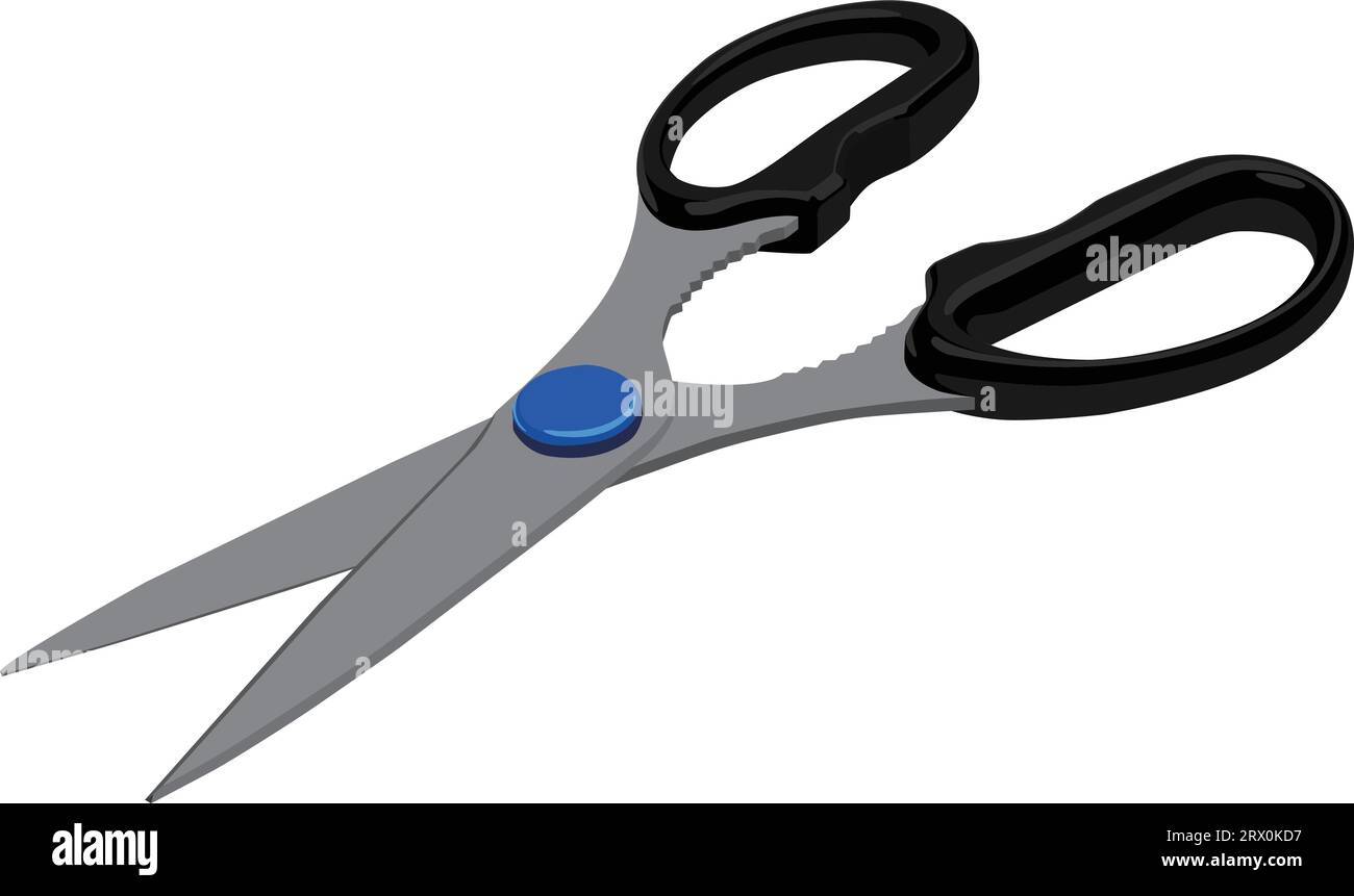 Vector illustration of isolated Kitchen Scissor Stock Vector Image ...