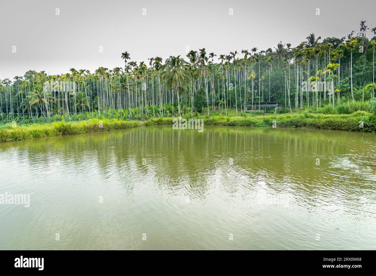 Beautiful landscape scenery from Kerala during monsoon season Stock ...