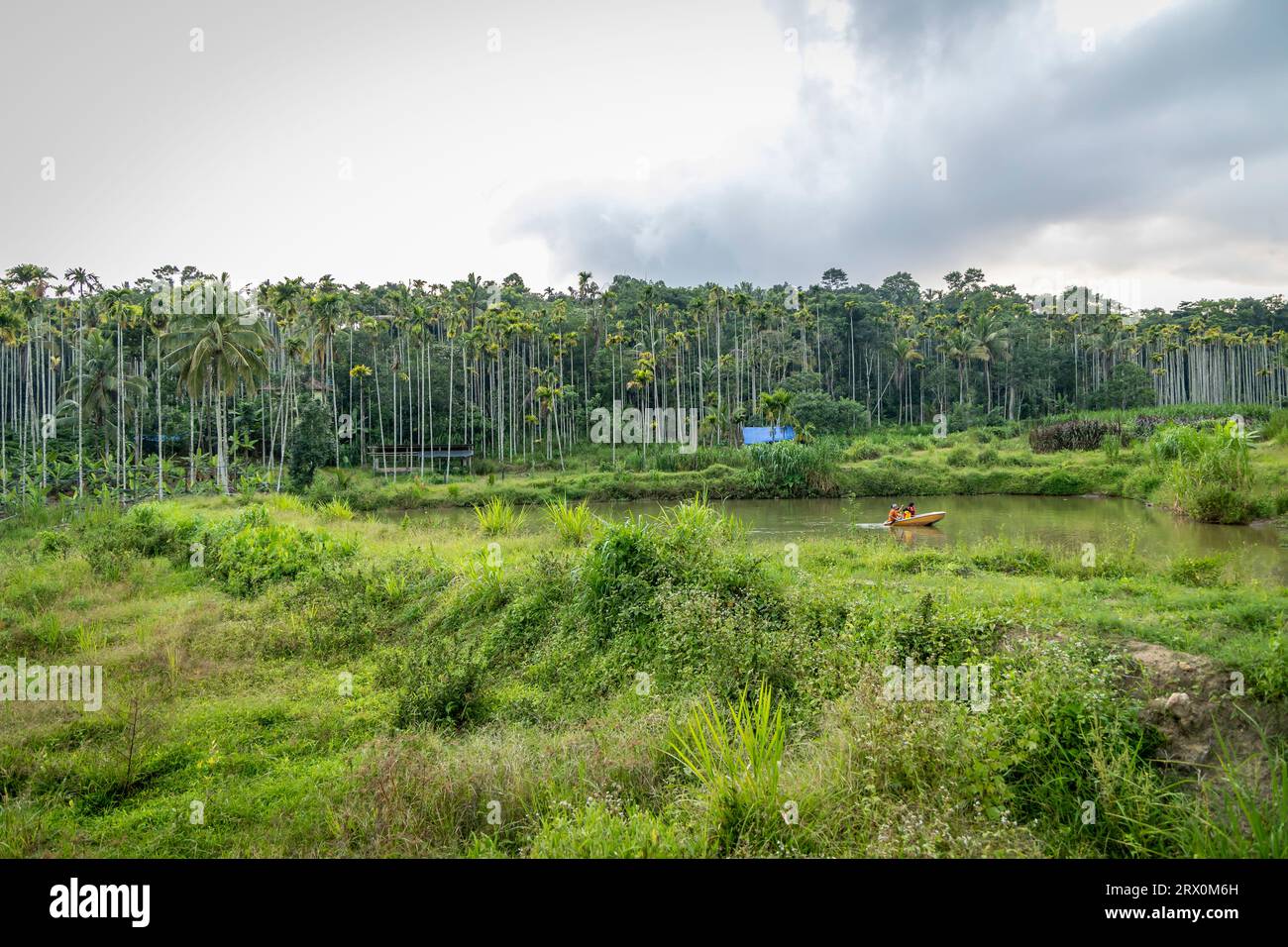 Beautiful landscape scenery from Kerala during monsoon season Stock ...