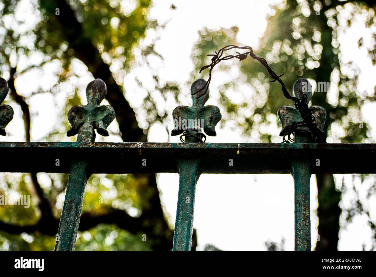 Morning flare hi-res stock photography and images - Alamy