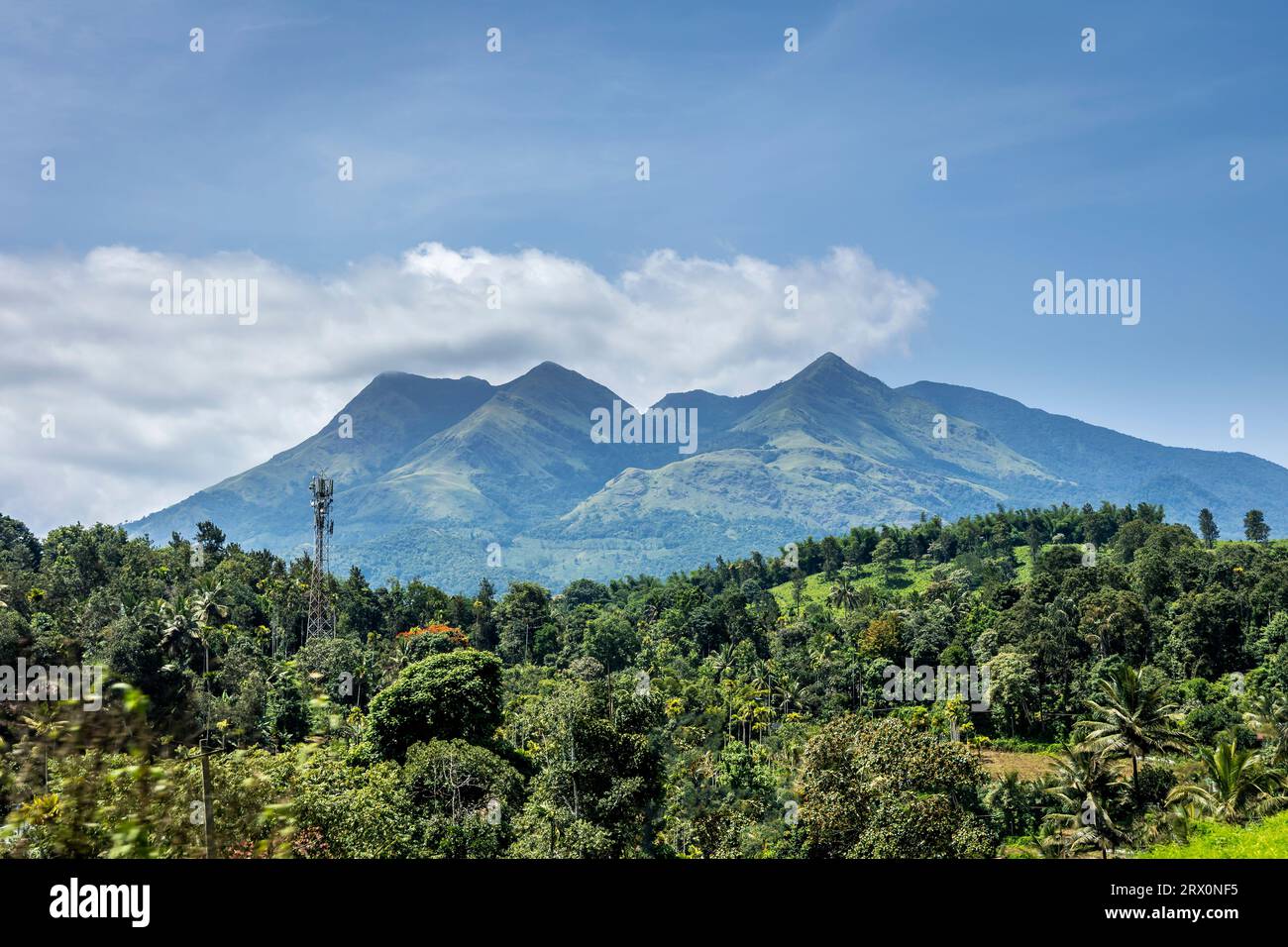 Beautiful hill and mountains of Kerala, India Stock Photo - Alamy