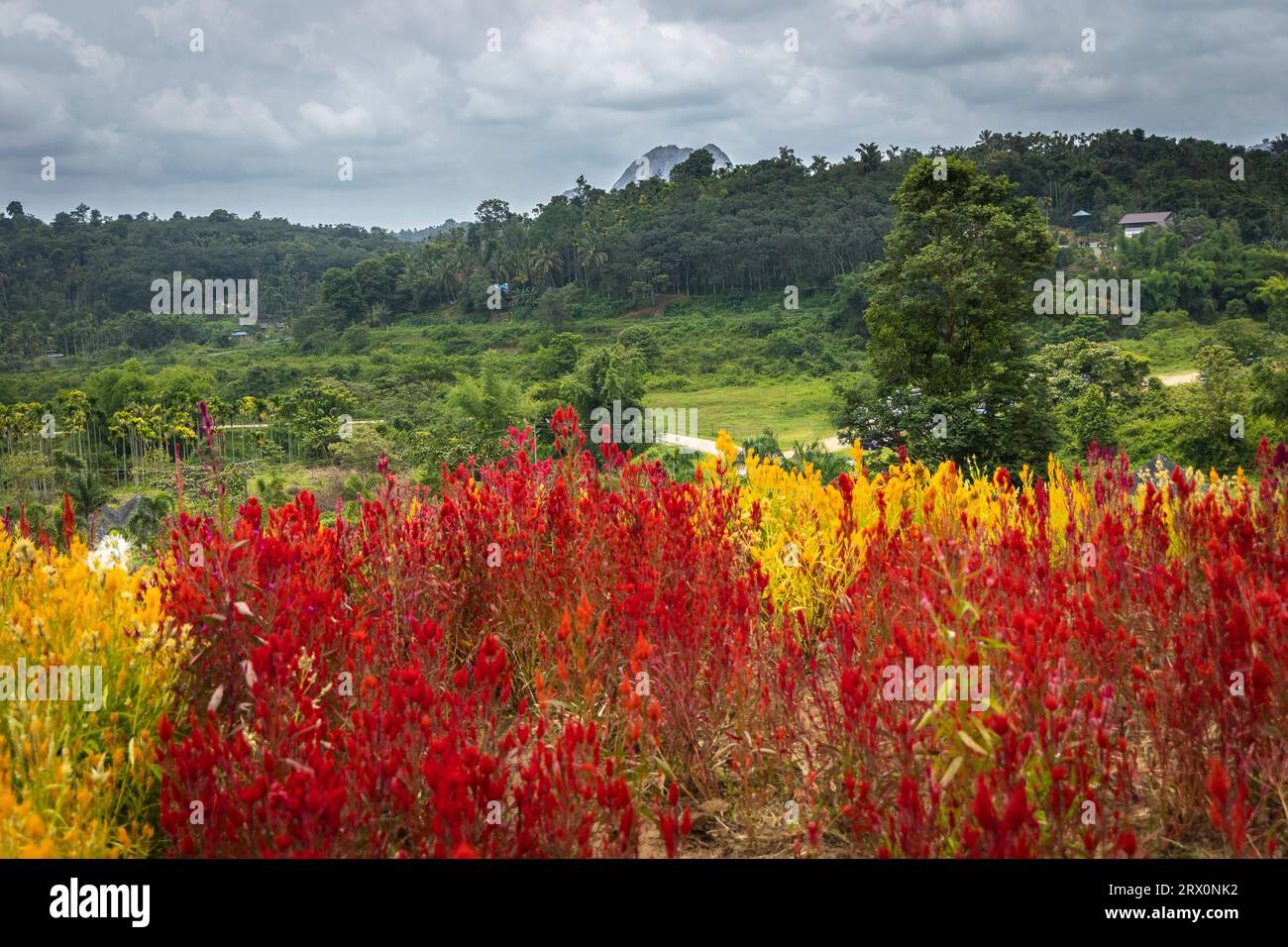 Karapuzha Dam, Adventure Park and Garden, Wayanad, Kerala. India Stock ...
