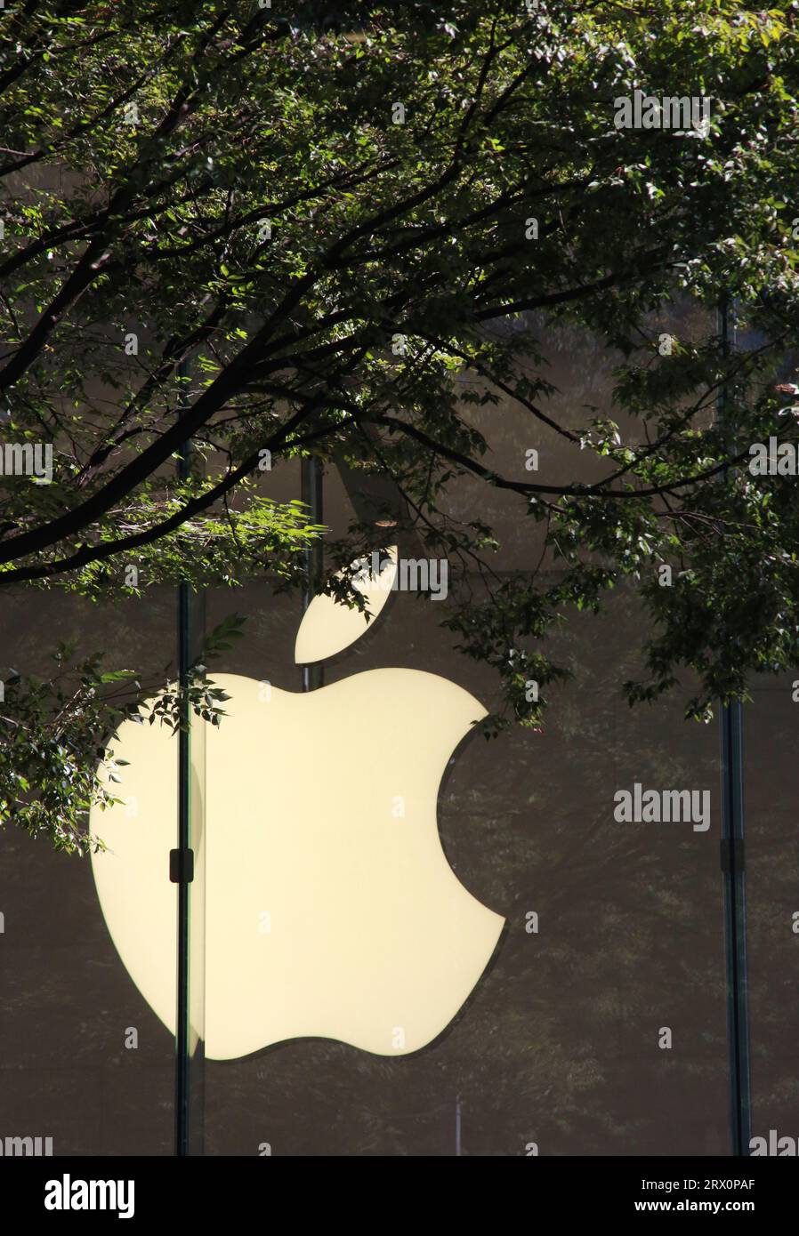 The trademark of Apple Inc. is seen at Omotesando in Shibuya Ward ...