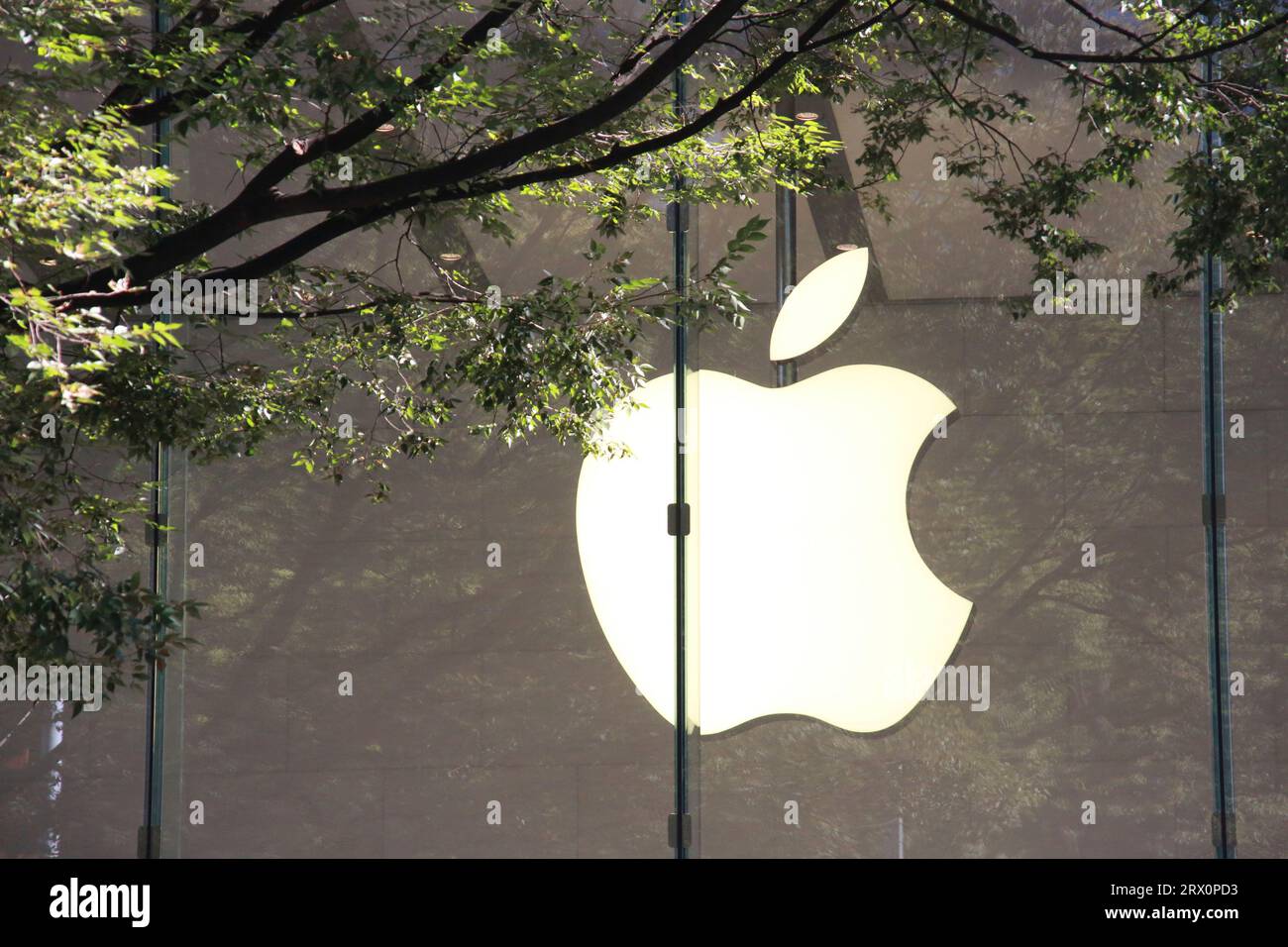 The trademark of Apple Inc. is seen at Omotesando in Shibuya Ward ...