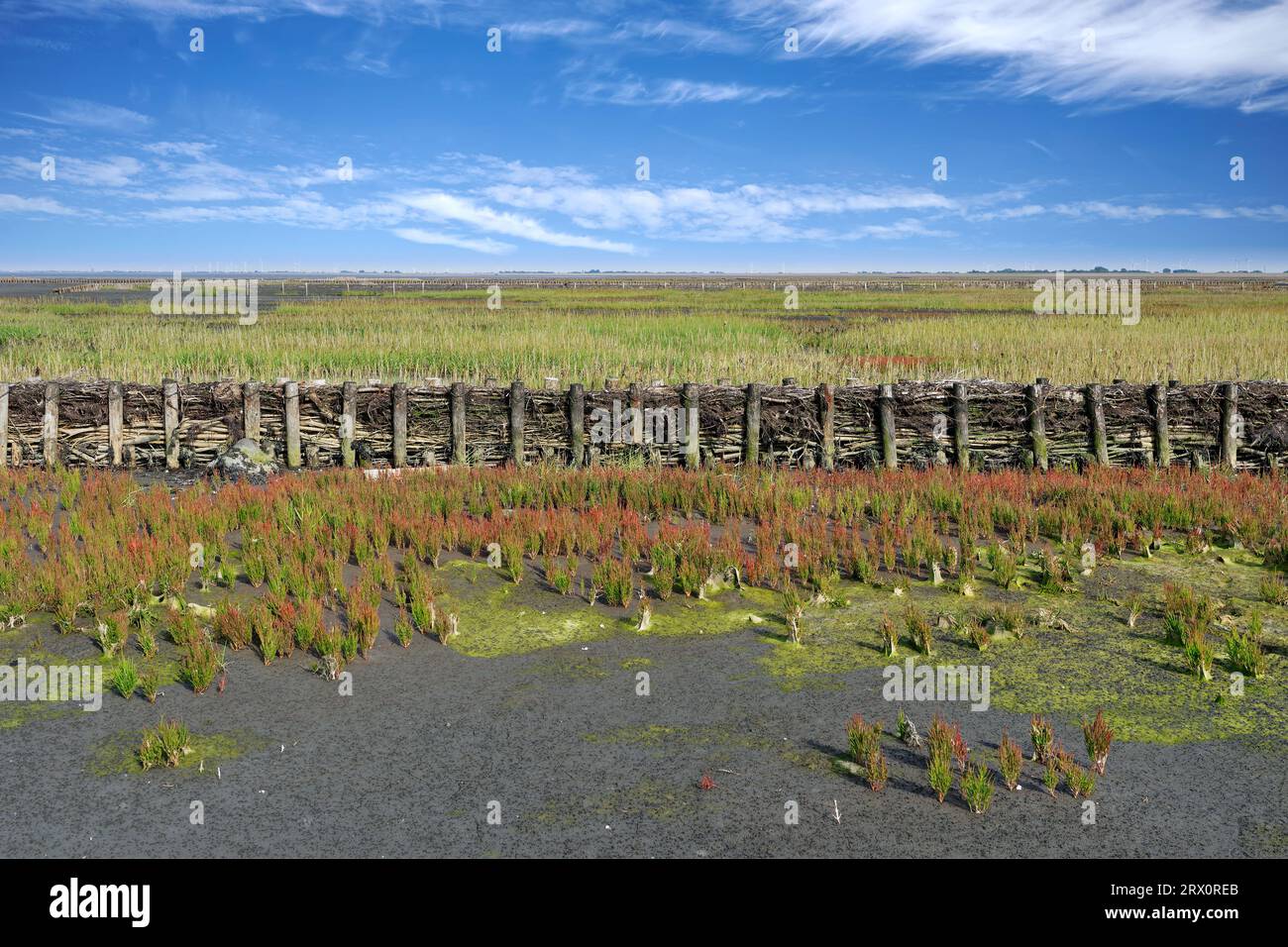 Land reclamation north sea hi-res stock photography and images - Alamy