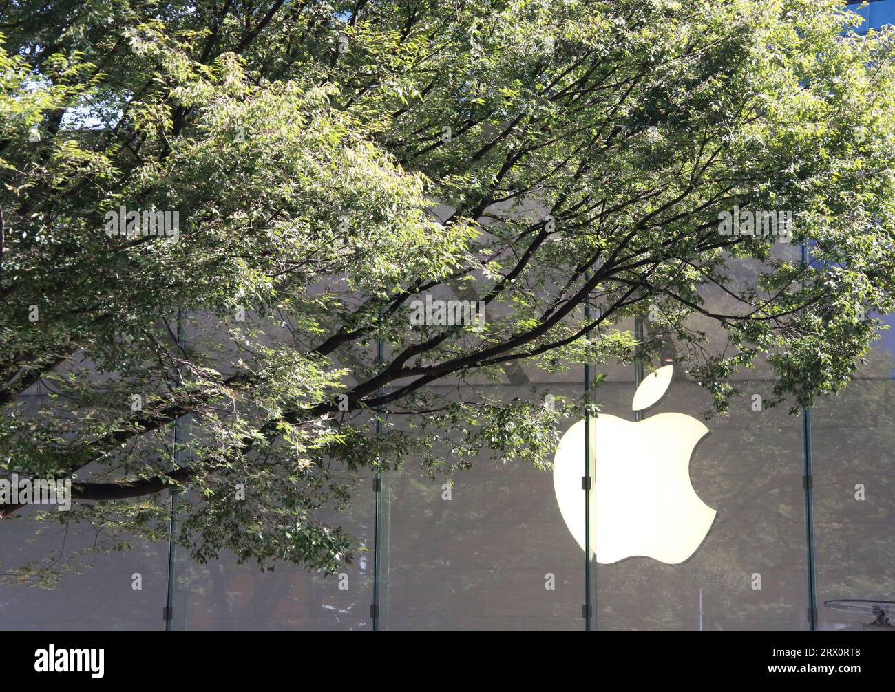 The trademark of Apple Inc. is seen at Omotesando in Shibuya Ward ...