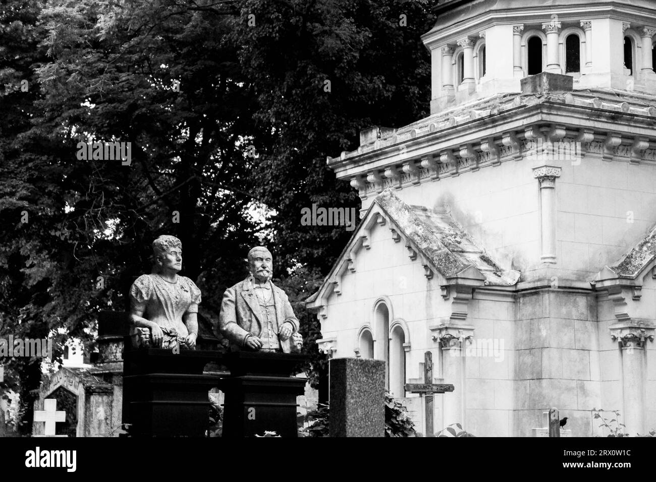 Bellu Black and White Stock Photos & Images - Alamy