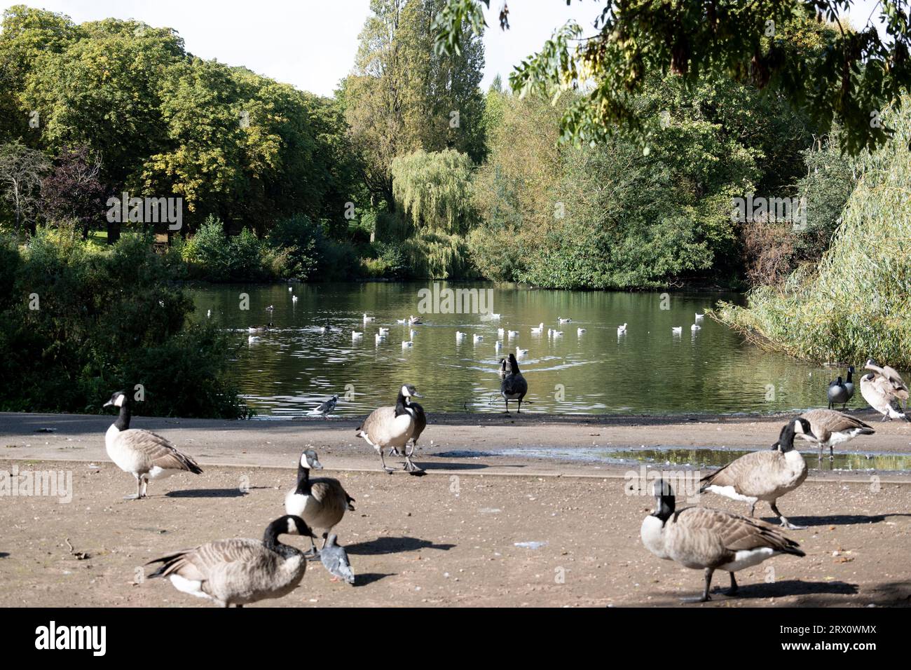 The Fish Pond, Handsworth Park, Birmingham, West Midlands, England, UK ...