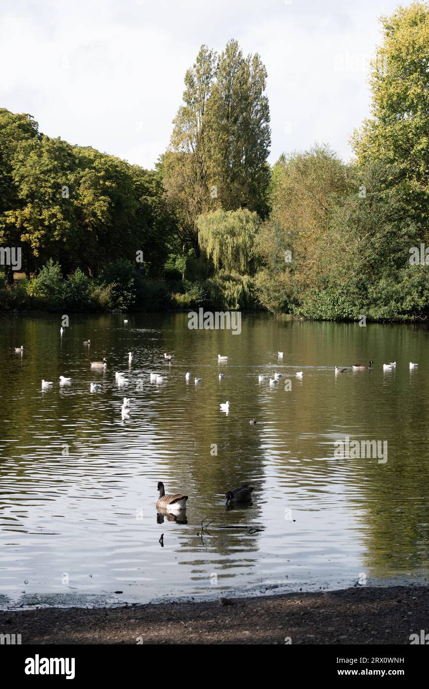 The Fish Pond, Handsworth Park, Birmingham, West Midlands, England, UK ...