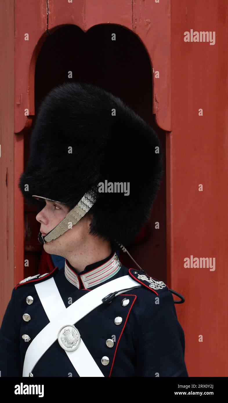 A Danish Royal Guard standing at his post at the Amalienborg castle in ...