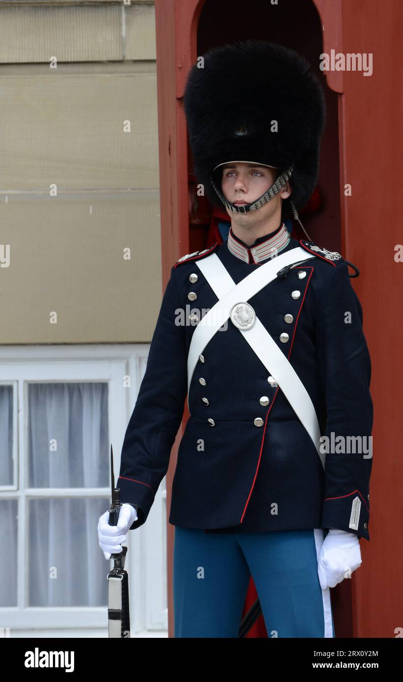 A Danish Royal Guard standing at his post at the Amalienborg castle in ...
