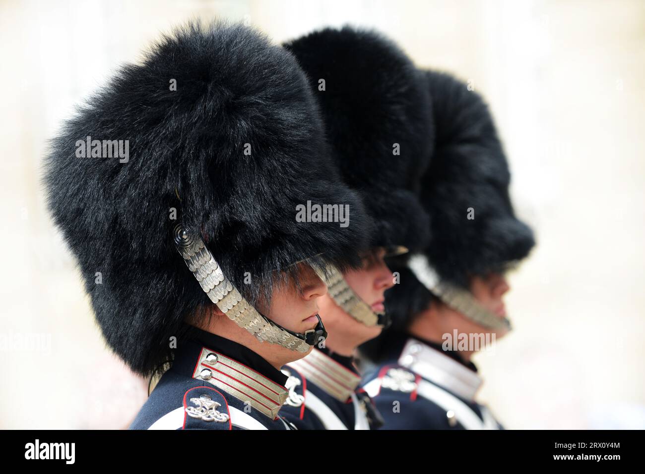 Change of the Royal Danish guard at Amalienborg castle in Copenhagen ...