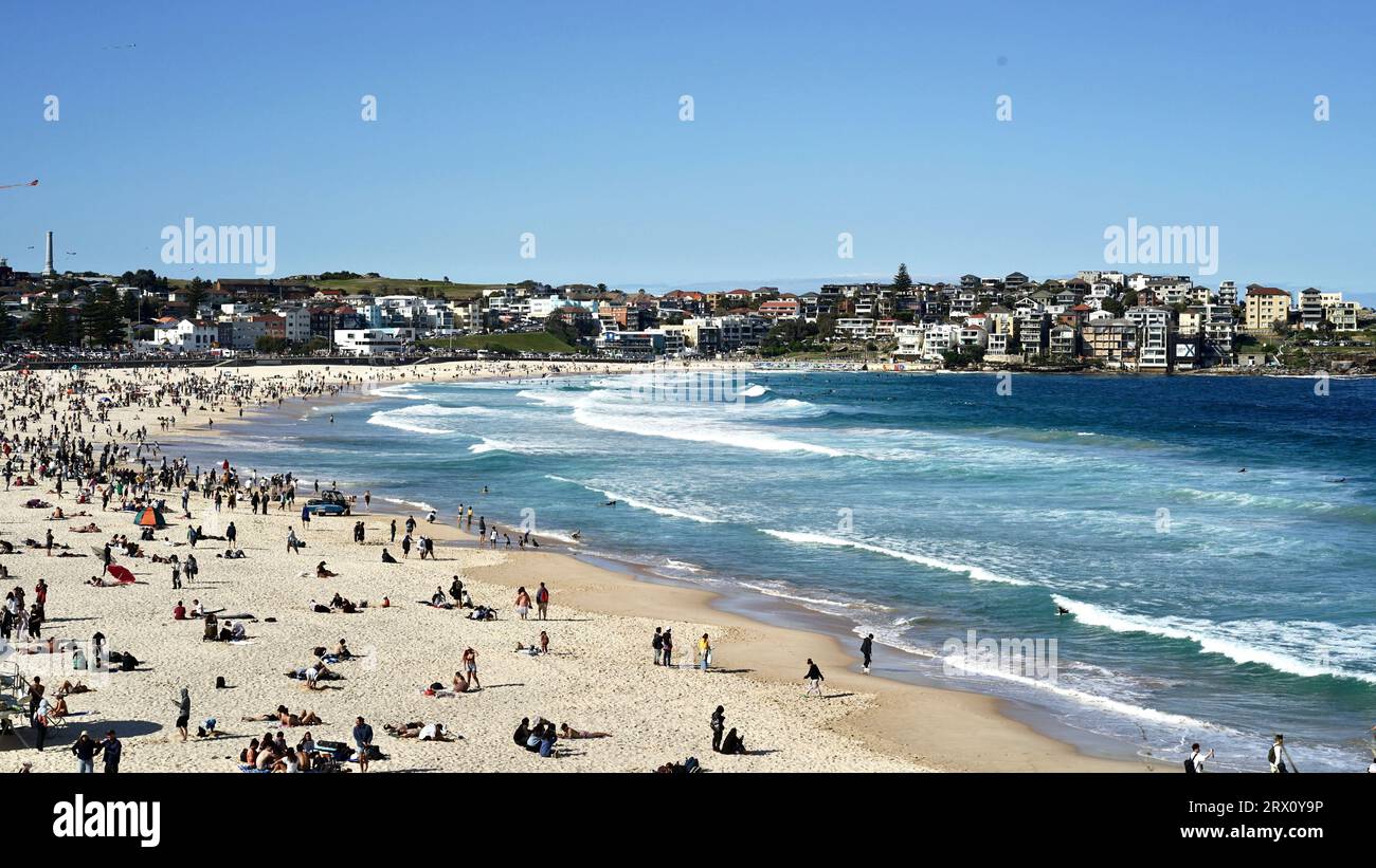 A group of diverse people having a fun day out at the beach in ...