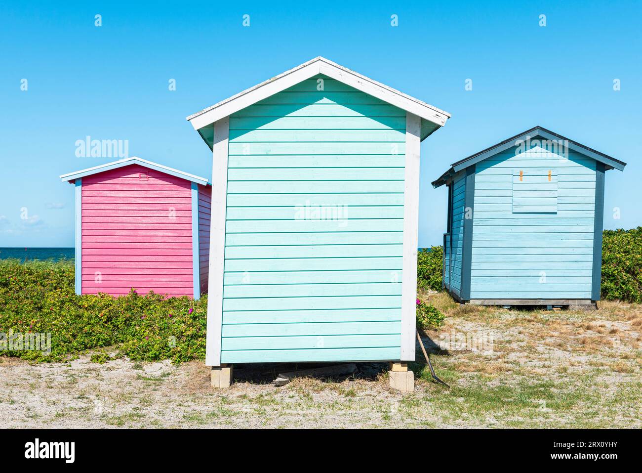 Colourful, windswept wooden bathing huts in the sand dunes on the beach ...