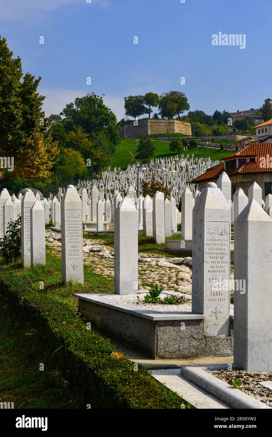 One of the many huge graveyards that dotted Sarajevo, Bosnia, where ...
