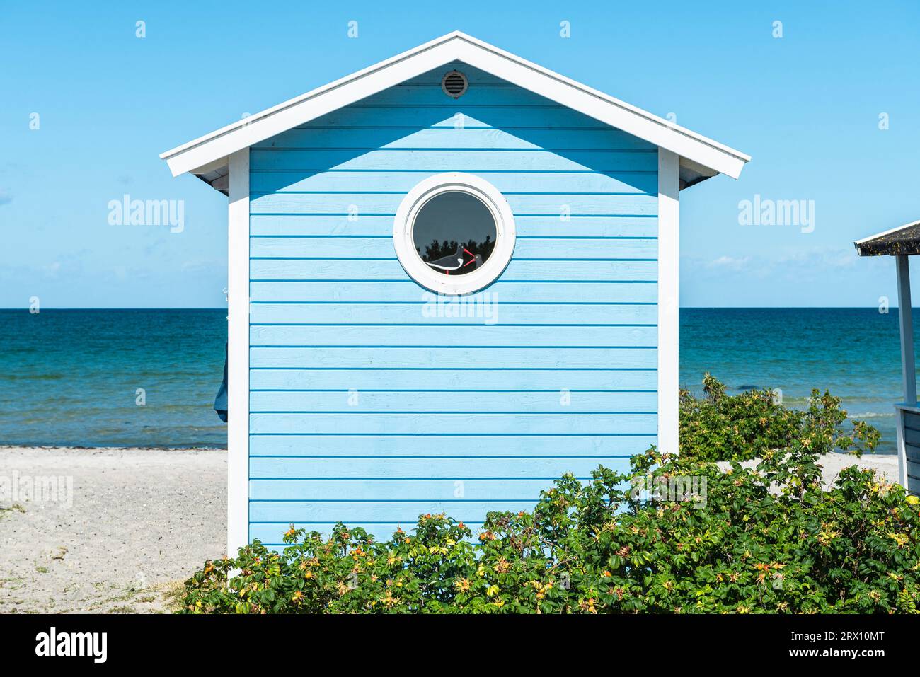 Frontal view of the back of a blue wooden bathing hut on the beach of ...