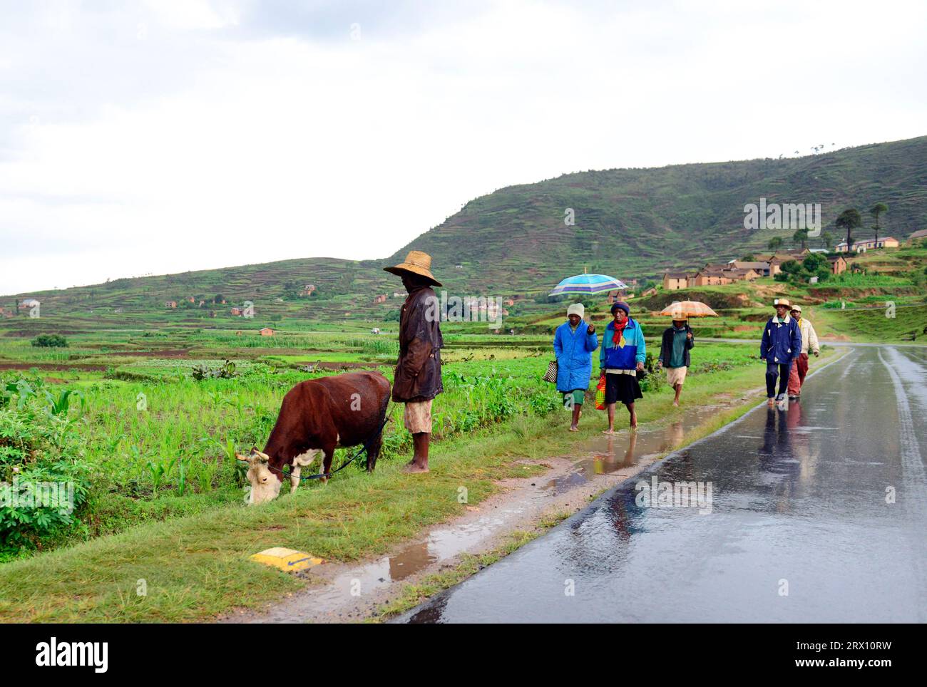 Malagasy villagers walking along the road in Central Madagascar Stock ...