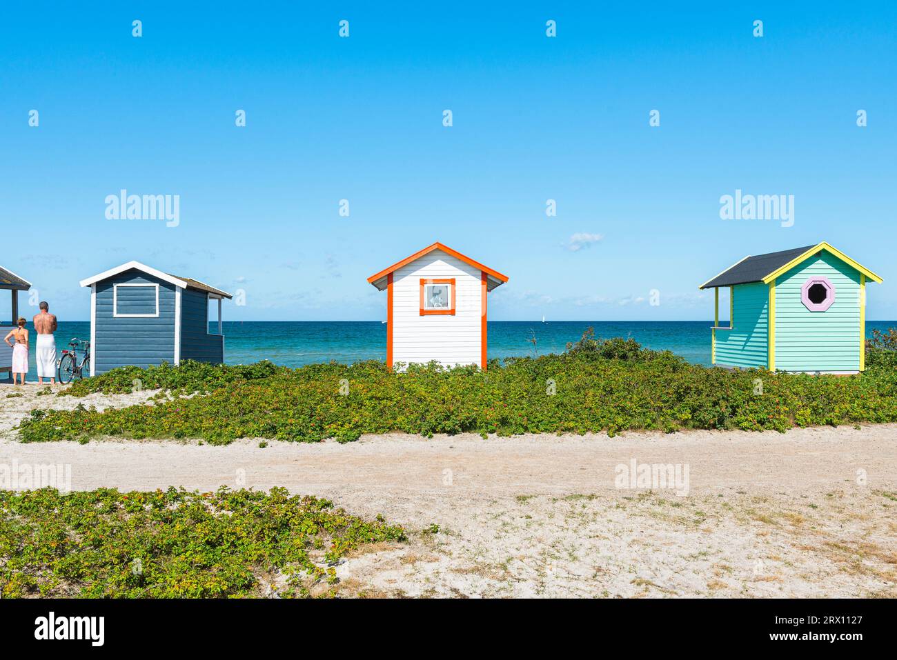 Colourful, windswept wooden bathing huts in the sand dunes on the beach ...