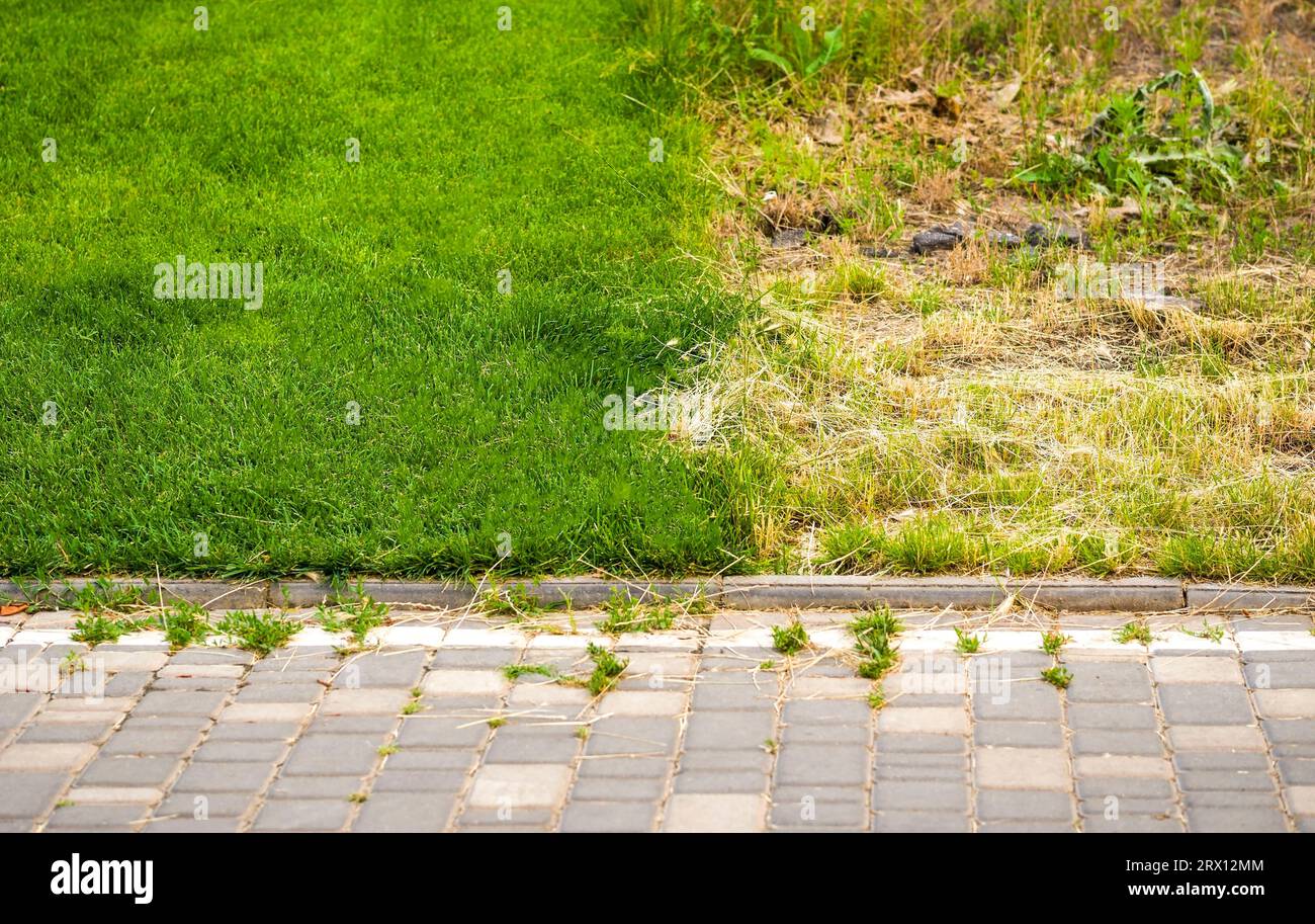 Choosing a career path hi-res stock photography and images - Alamy