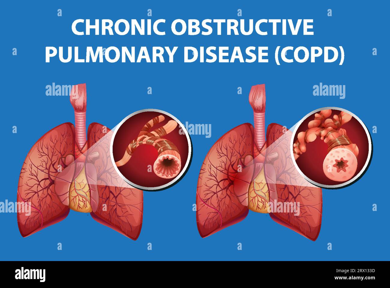 Illustrated cartoon-style image depicting the science education of ...