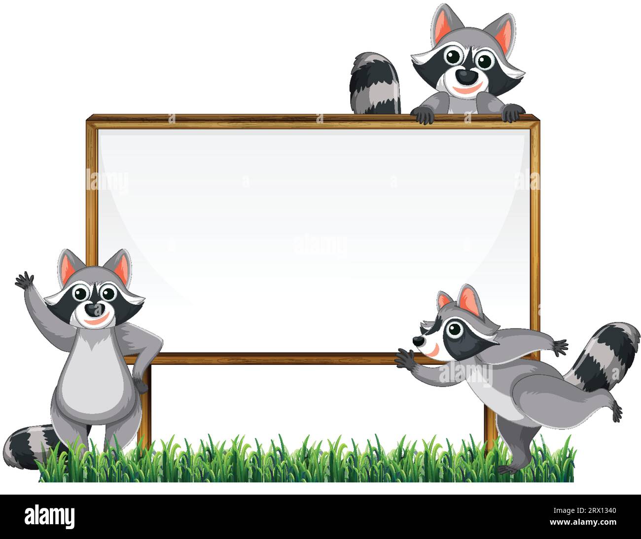 Vector cartoon illustration of raccoons gathered around a wooden frame ...