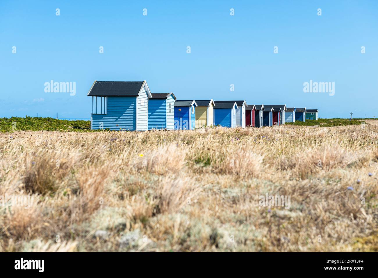 Colourful, windswept wooden bathing huts in the sand dunes on the beach ...