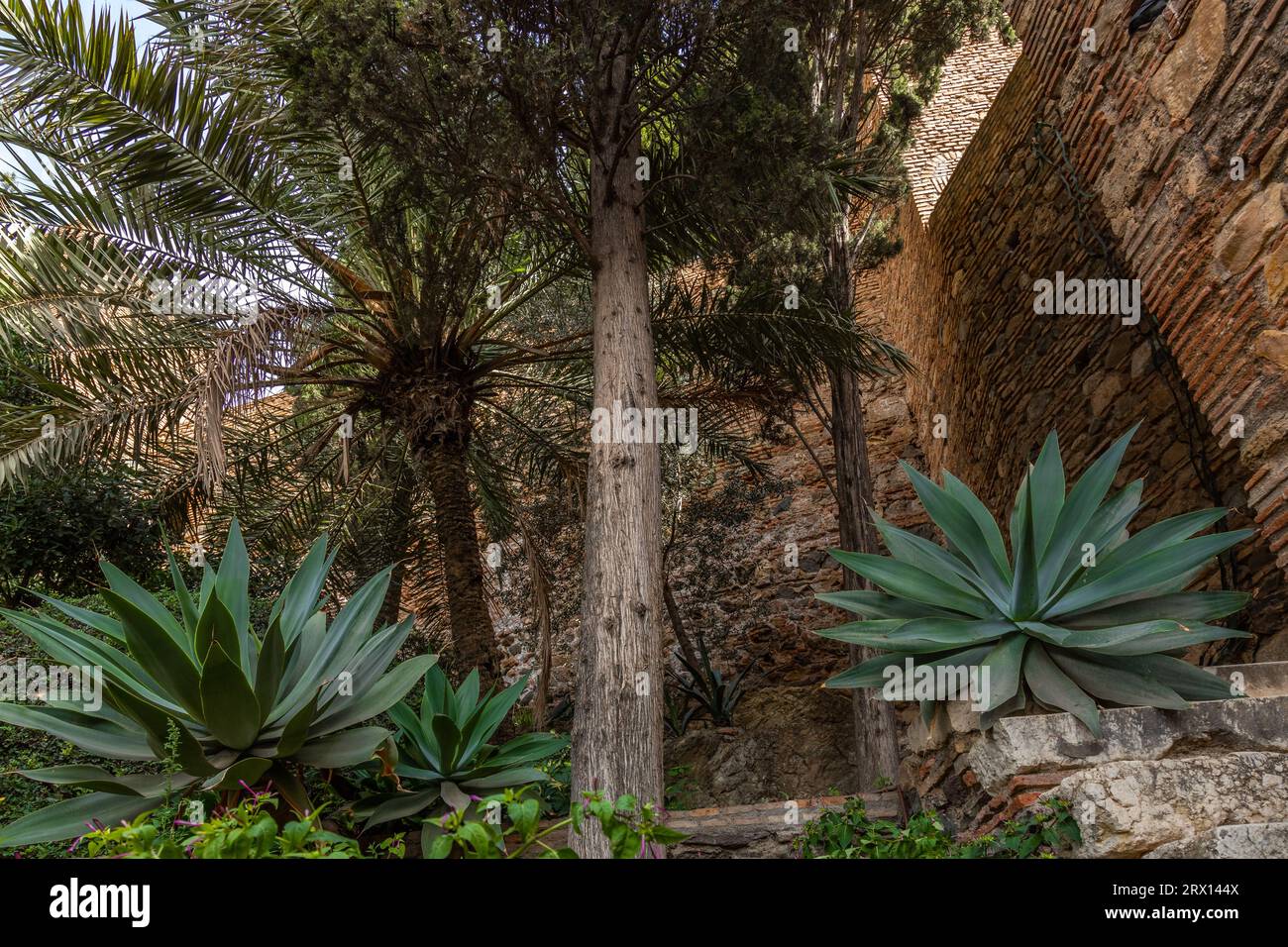 The Alcazaba interior, citadel of Malaga city. Interiors and courtyards ...