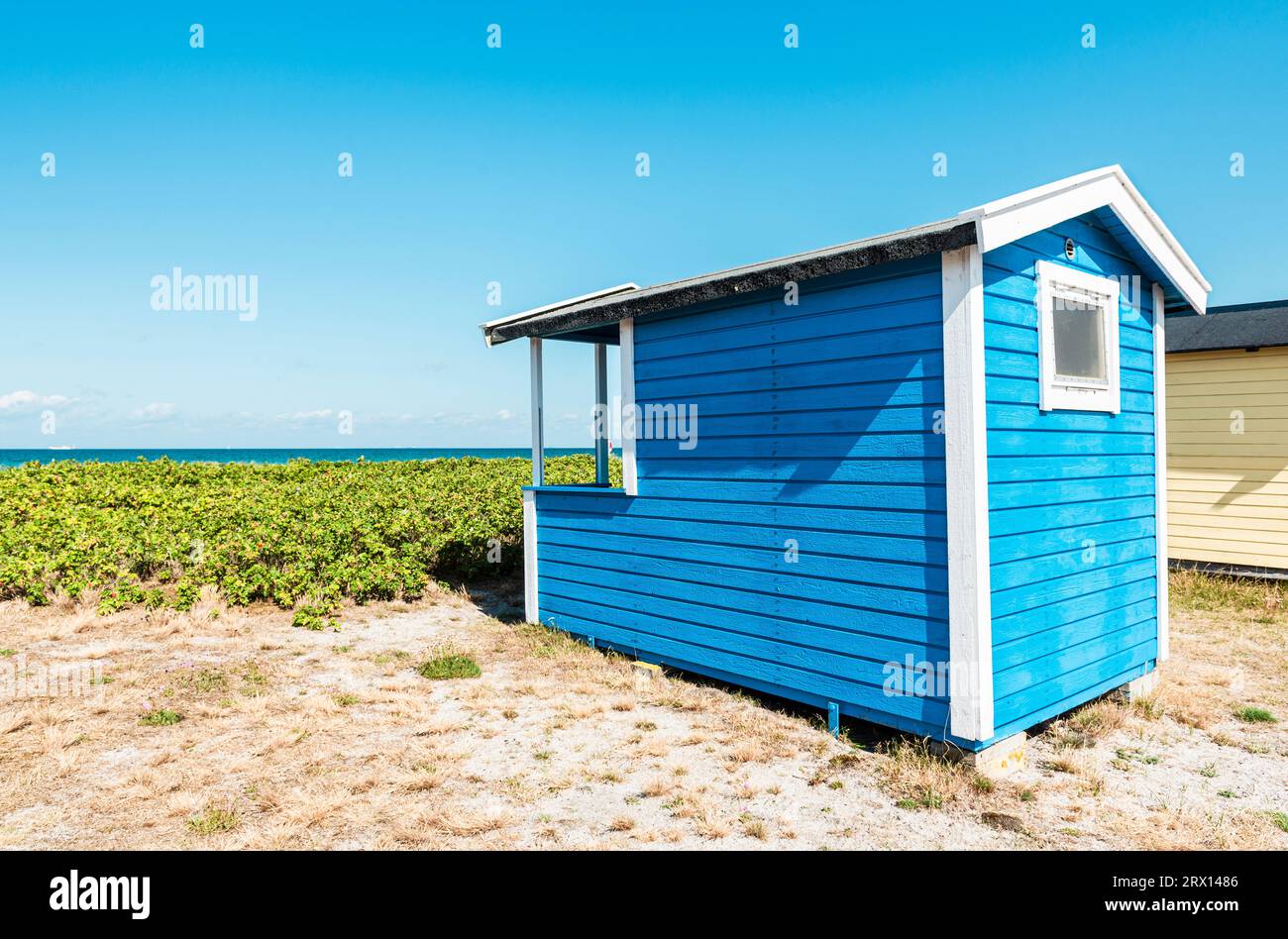 Colourful, windswept wooden bathing huts in the sand dunes on the beach ...