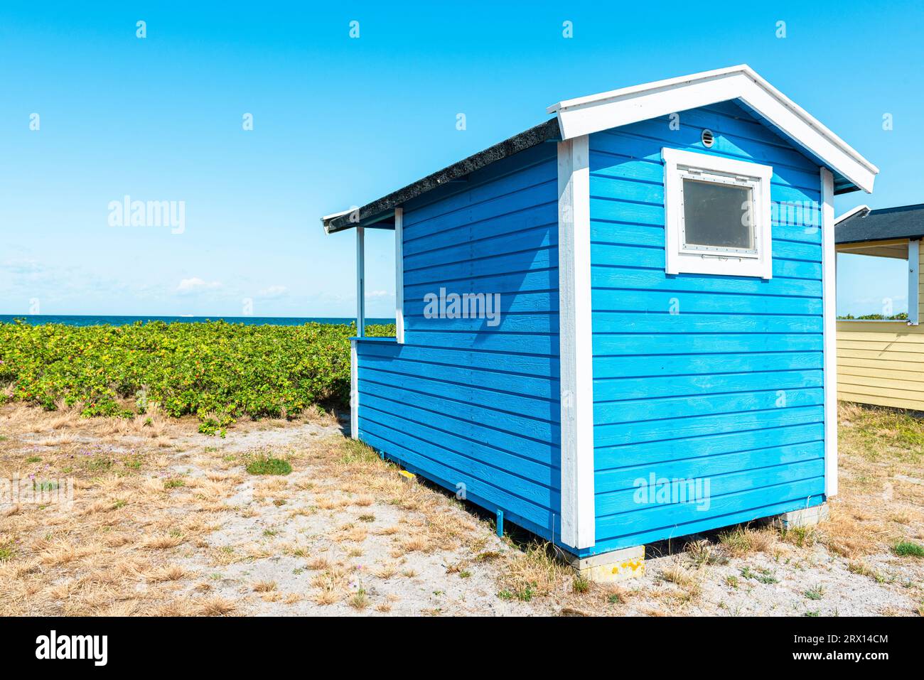 Colourful, windswept wooden bathing huts in the sand dunes on the beach ...