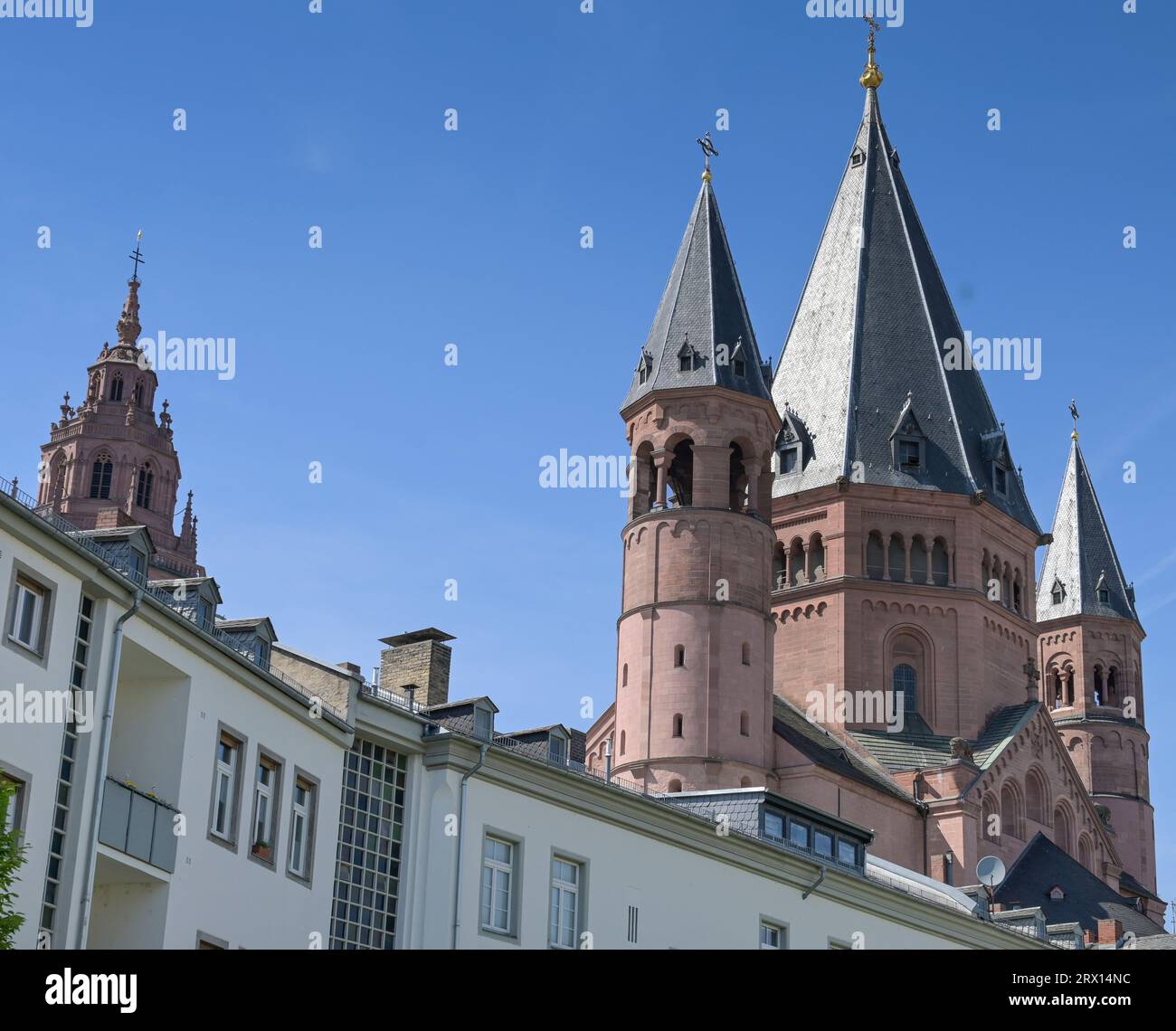 Mainz kathedrale markt hi-res stock photography and images - Alamy