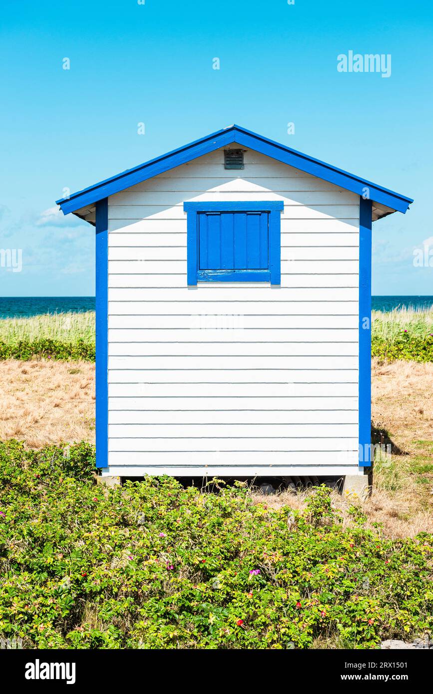 Frontal view of the back of a blue white wooden bathing hut on the ...