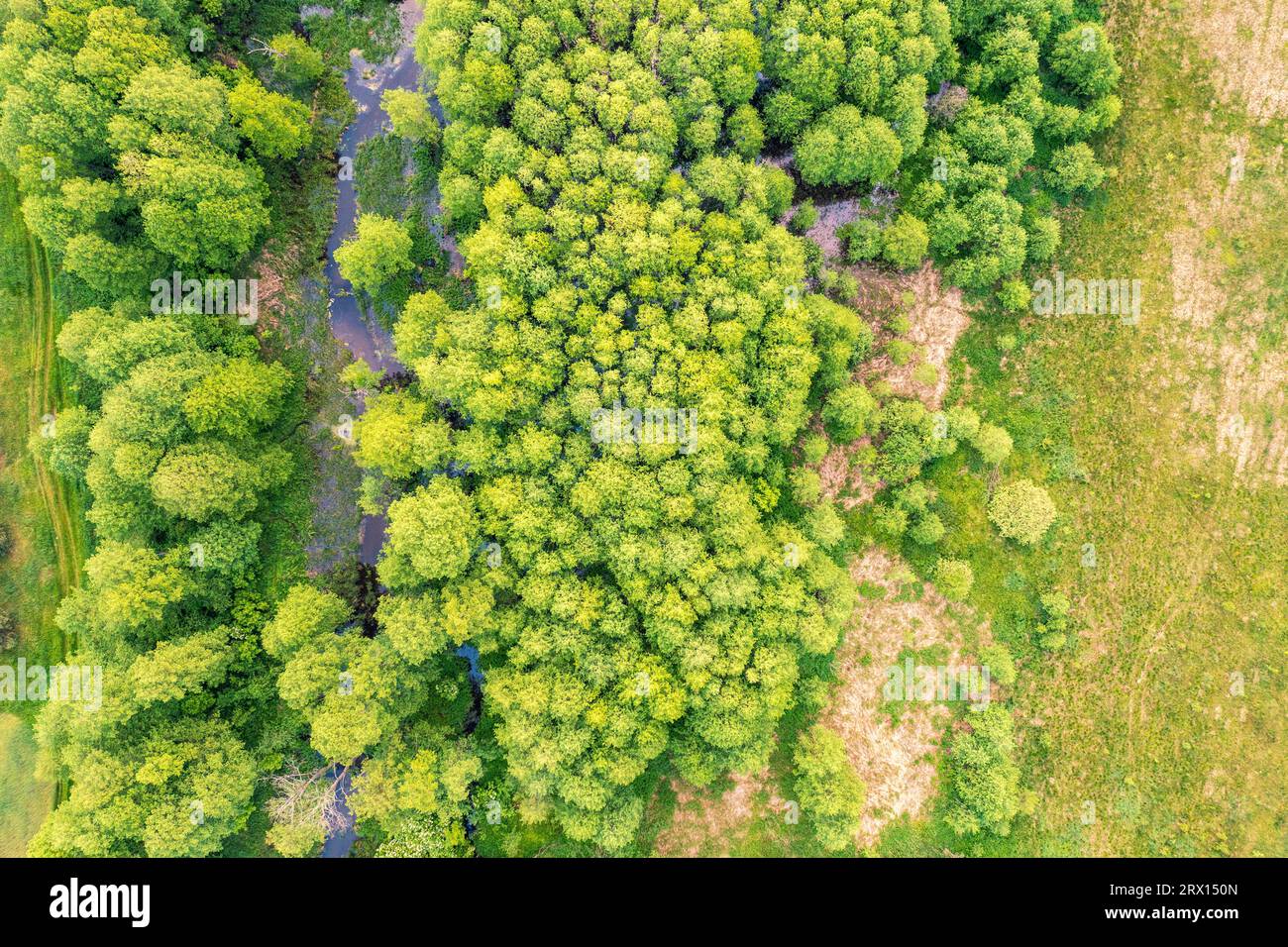 Spring creek forest aerial hi-res stock photography and images - Alamy