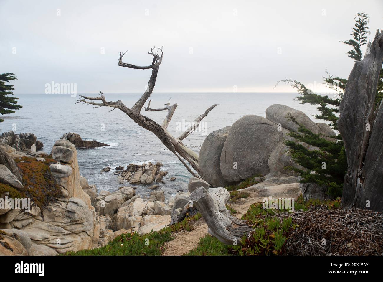 Del monte beach monterey california hi-res stock photography and images ...
