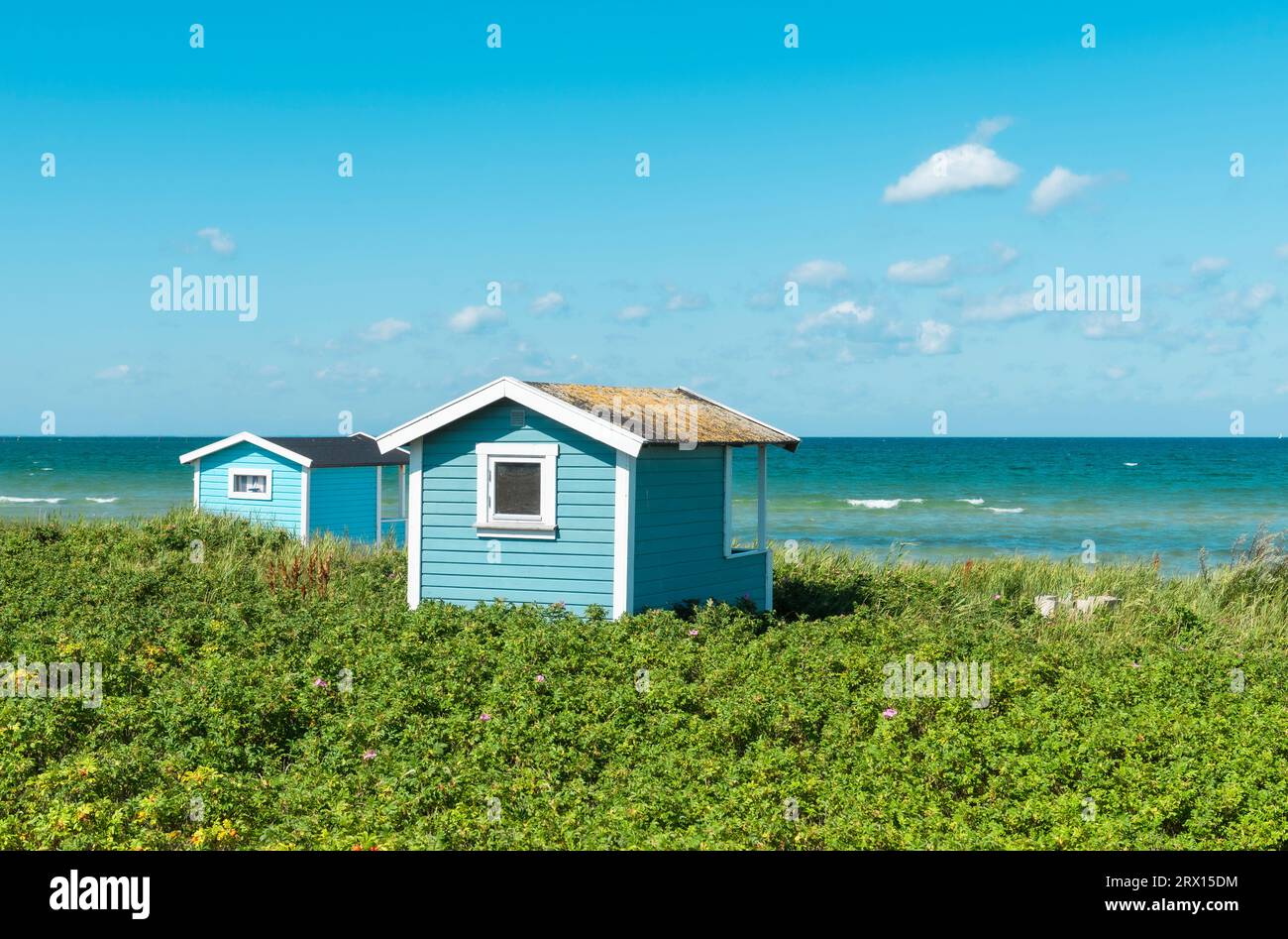 Colourful, windswept wooden bathing huts in the sand dunes on the beach ...