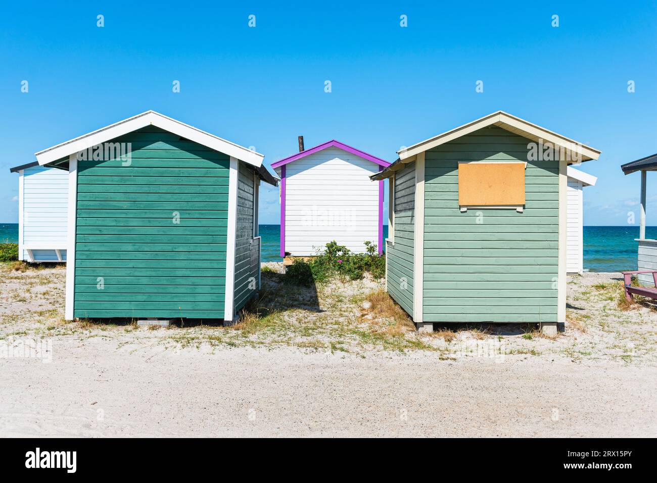 Colourful, windswept wooden bathing huts in the sand dunes on the beach ...
