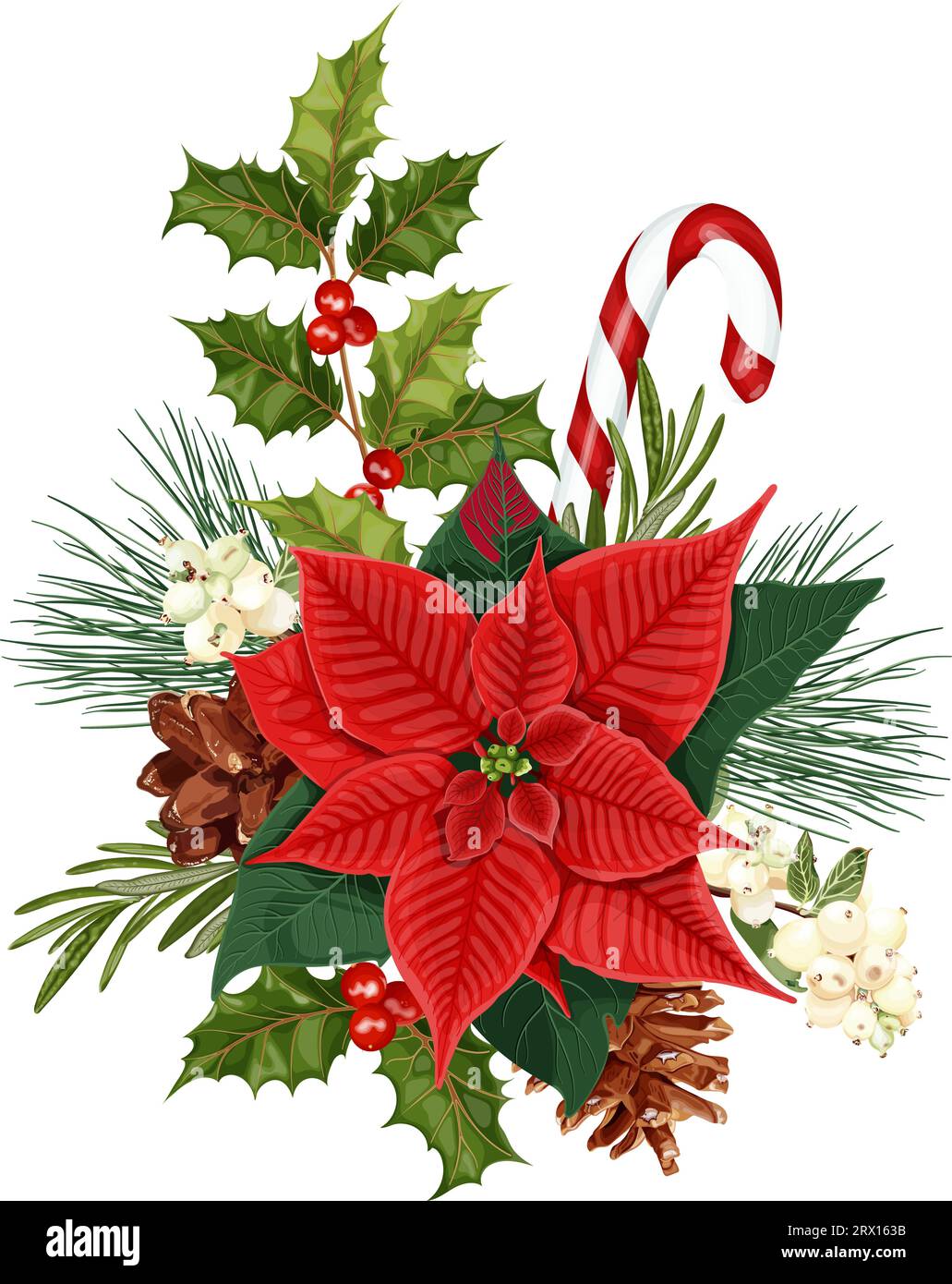 Christmas decor. Bouquet with red poinsettia flower, candy cane, holly ...